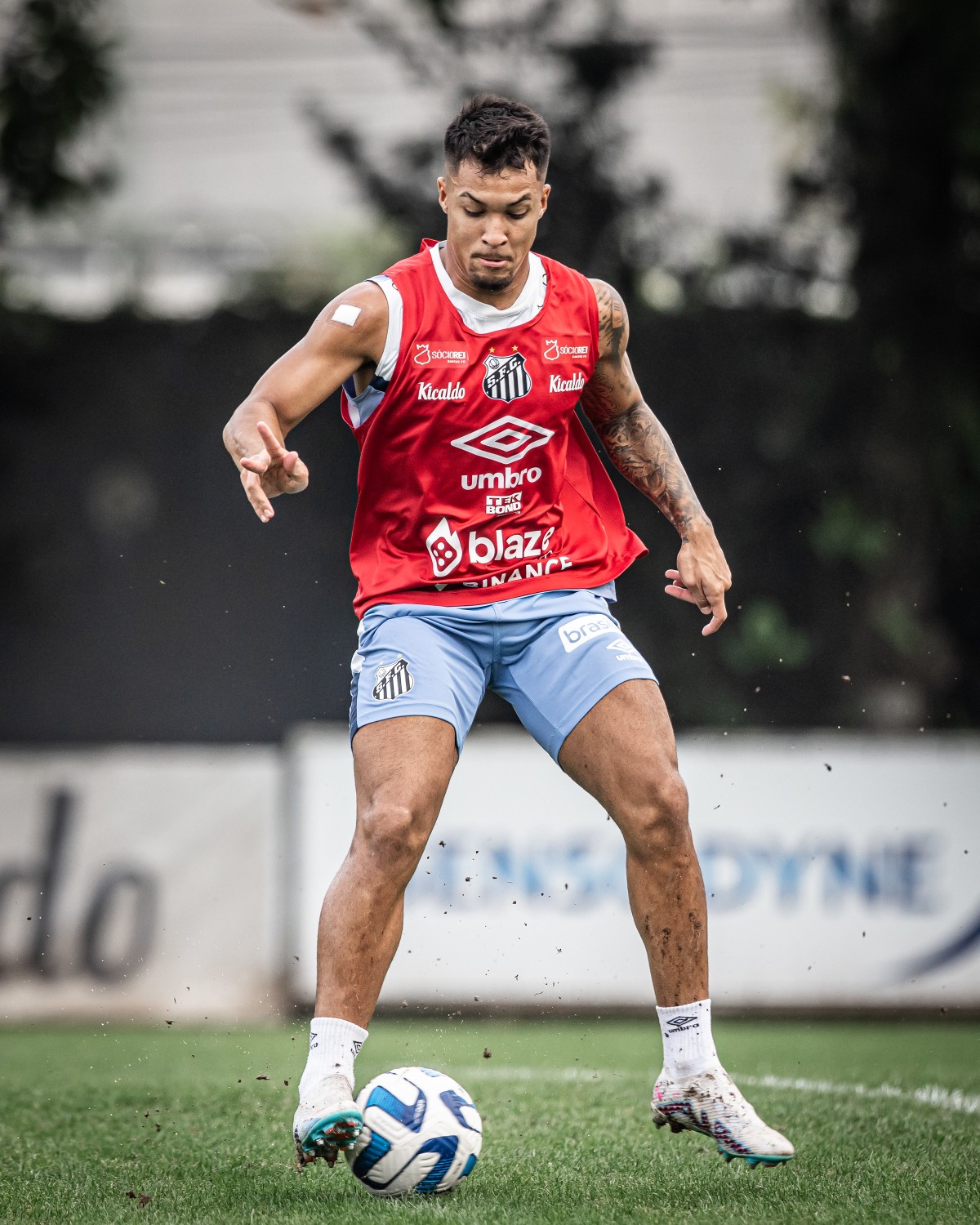 Marcos Leonardo vira reforço para Aguirre após tentativa frustrada de ...