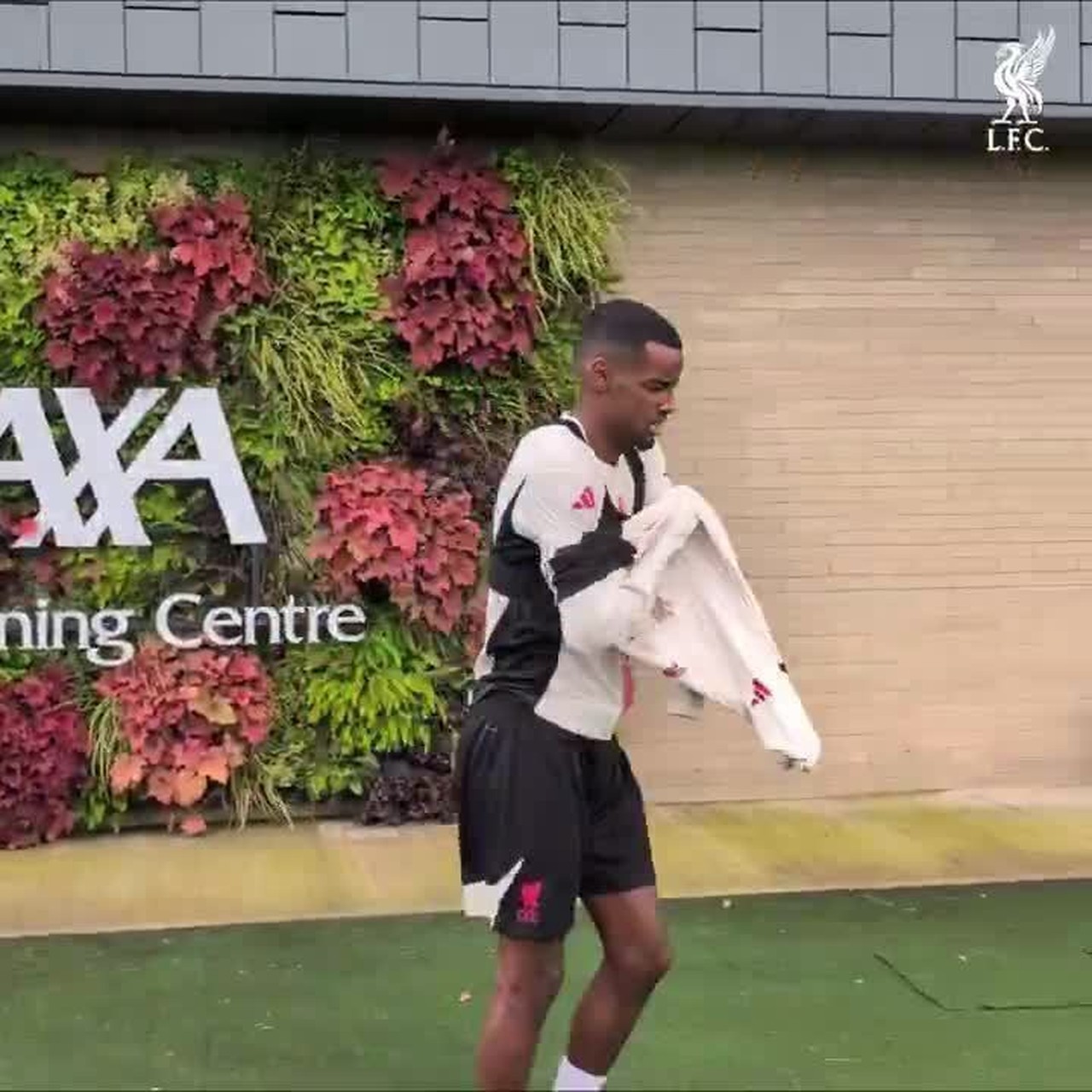 Van Dijk elogia reforço de quase R$ 1 bilhão do Liverpool, cotado para ...