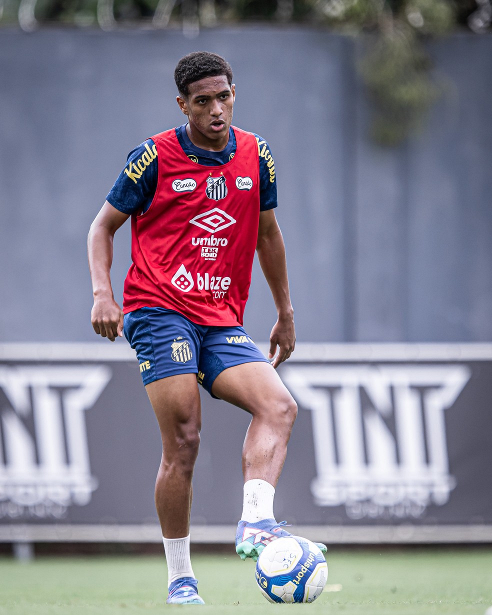 entrevista com alexandre gallo na íntegra