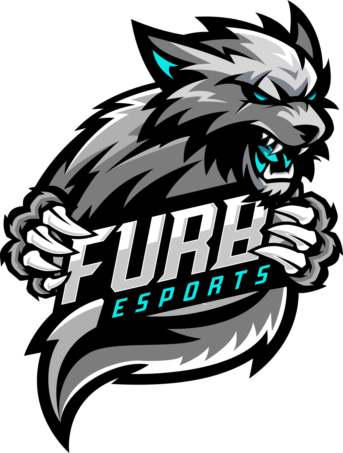 Conheça a FURB e-Sports, equipe confirmada no TUeS 2021 | gameplaysc | ge