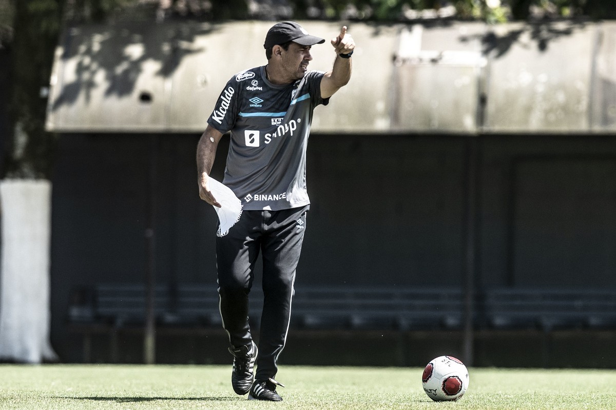 Fábio Carille volta aos treinamentos, mas não comandará o Santos contra ...