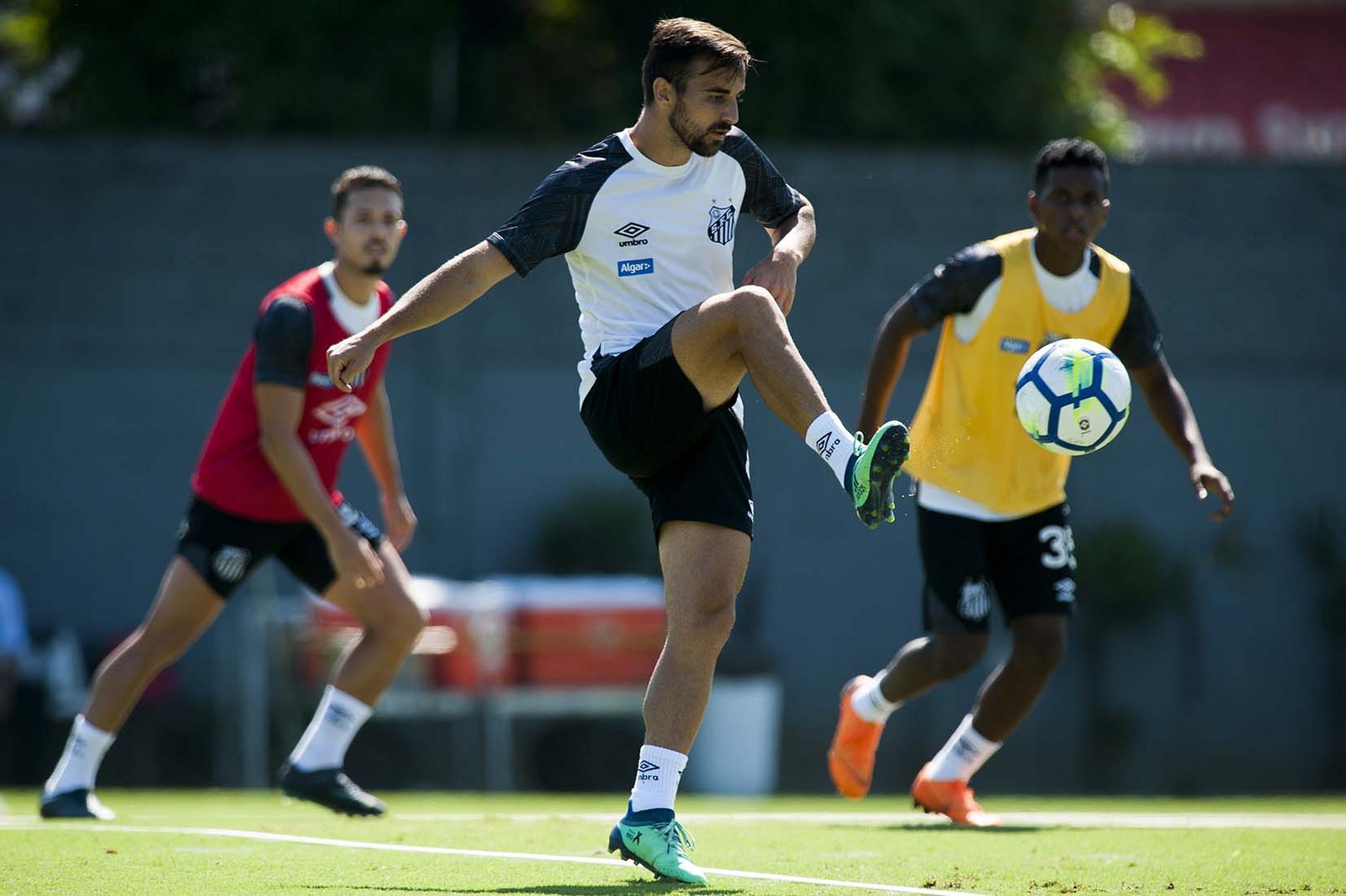 Londrina anuncia a contratação do meia Rafael Longuine, ex-Santos e ...