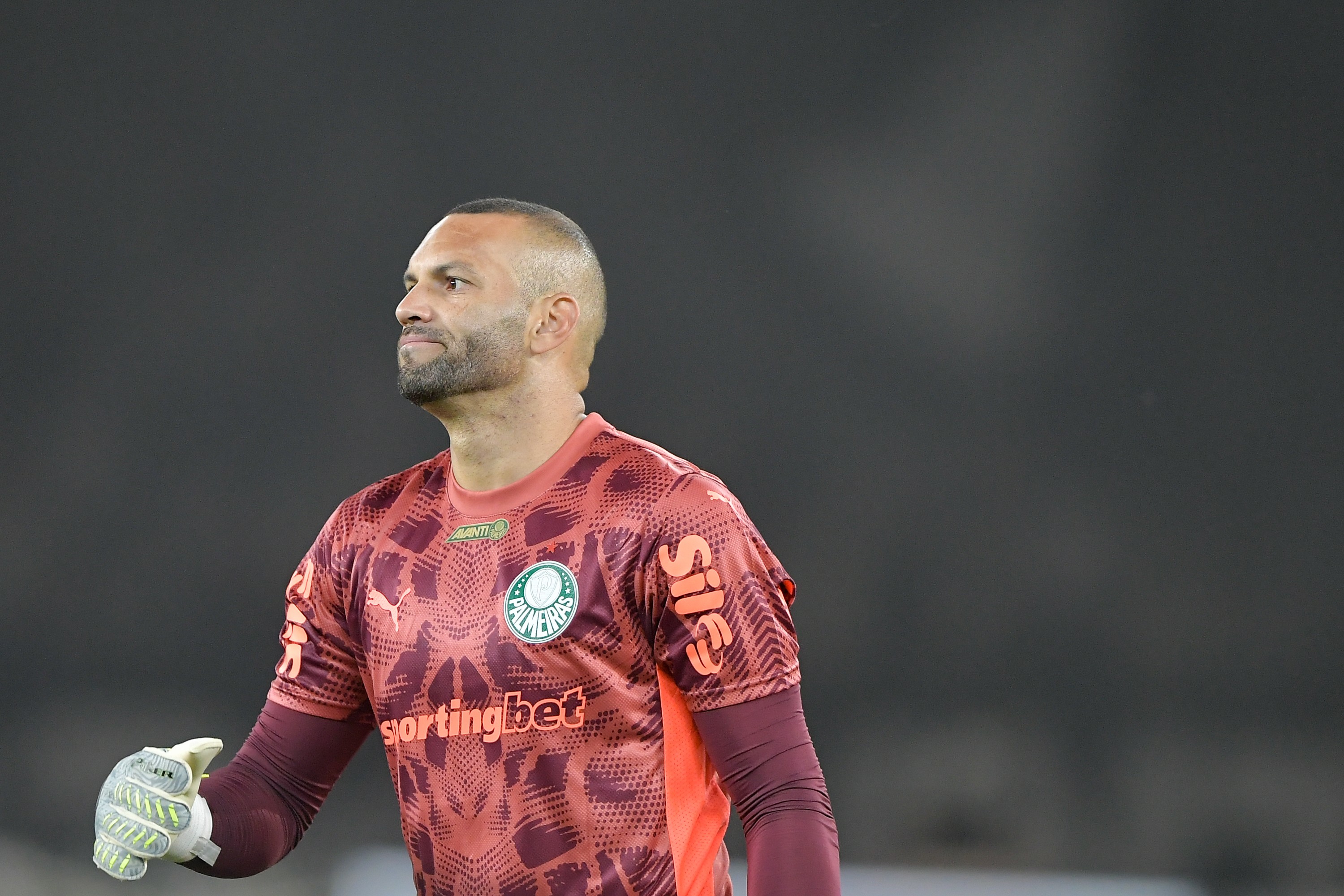 Weverton lesiona a mão e desfalca o Palmeiras contra o Flamengo | Ge