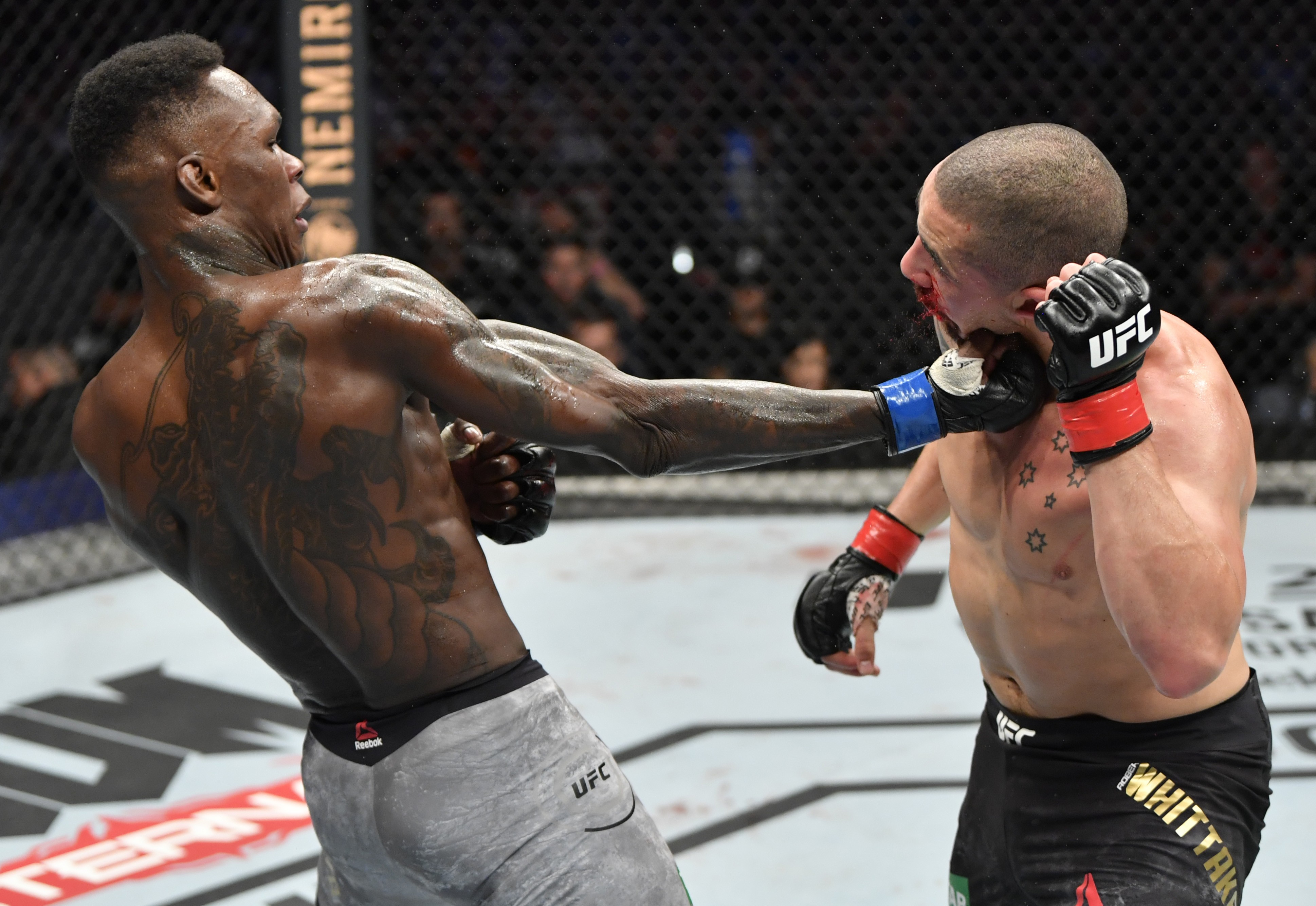 Whittaker admite erros em 1ª luta, mas garante mudanças para revanche ...