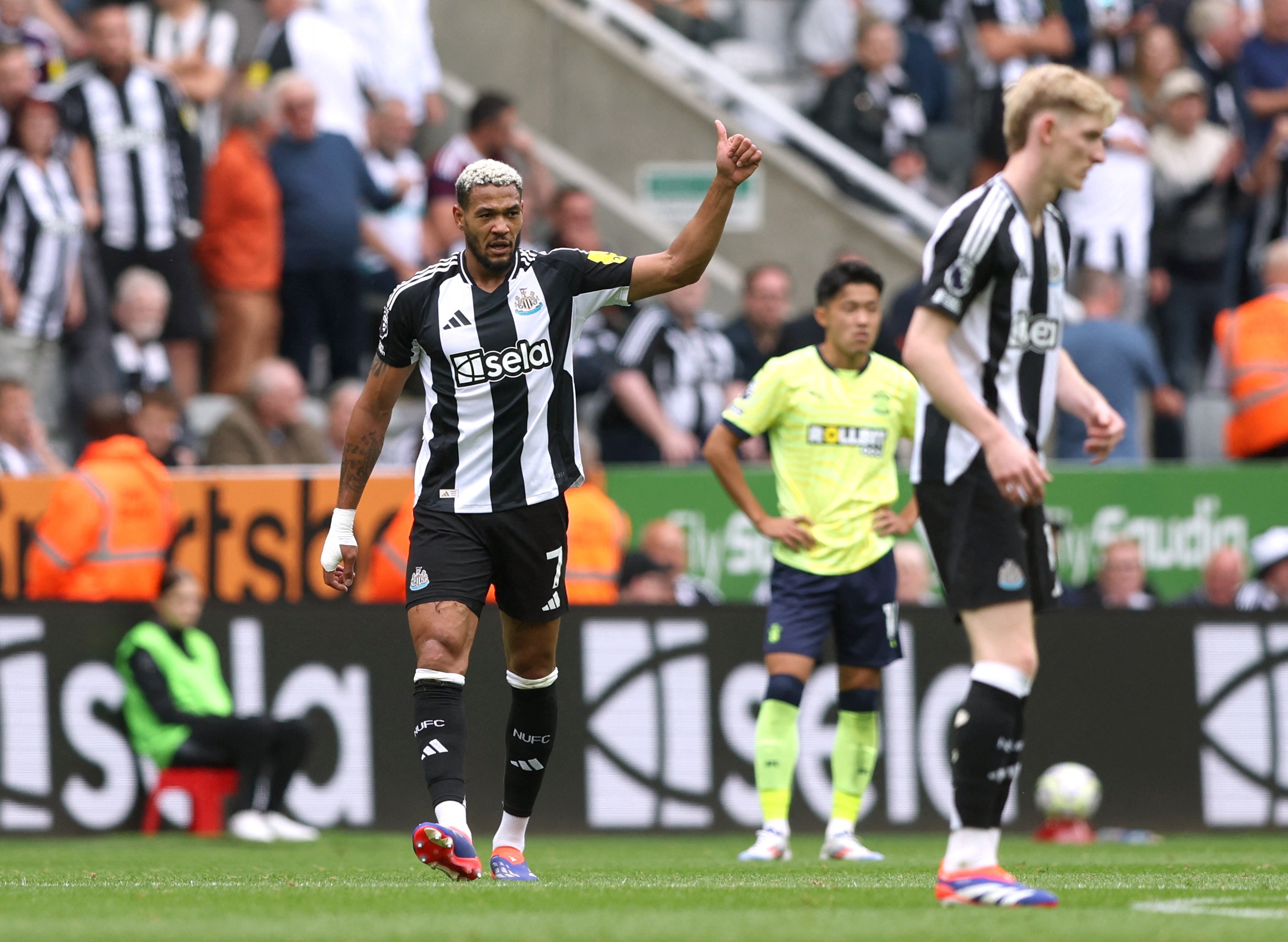 Joelinton garante vitória do Newcastle na estreia da Premier League 24/ ...