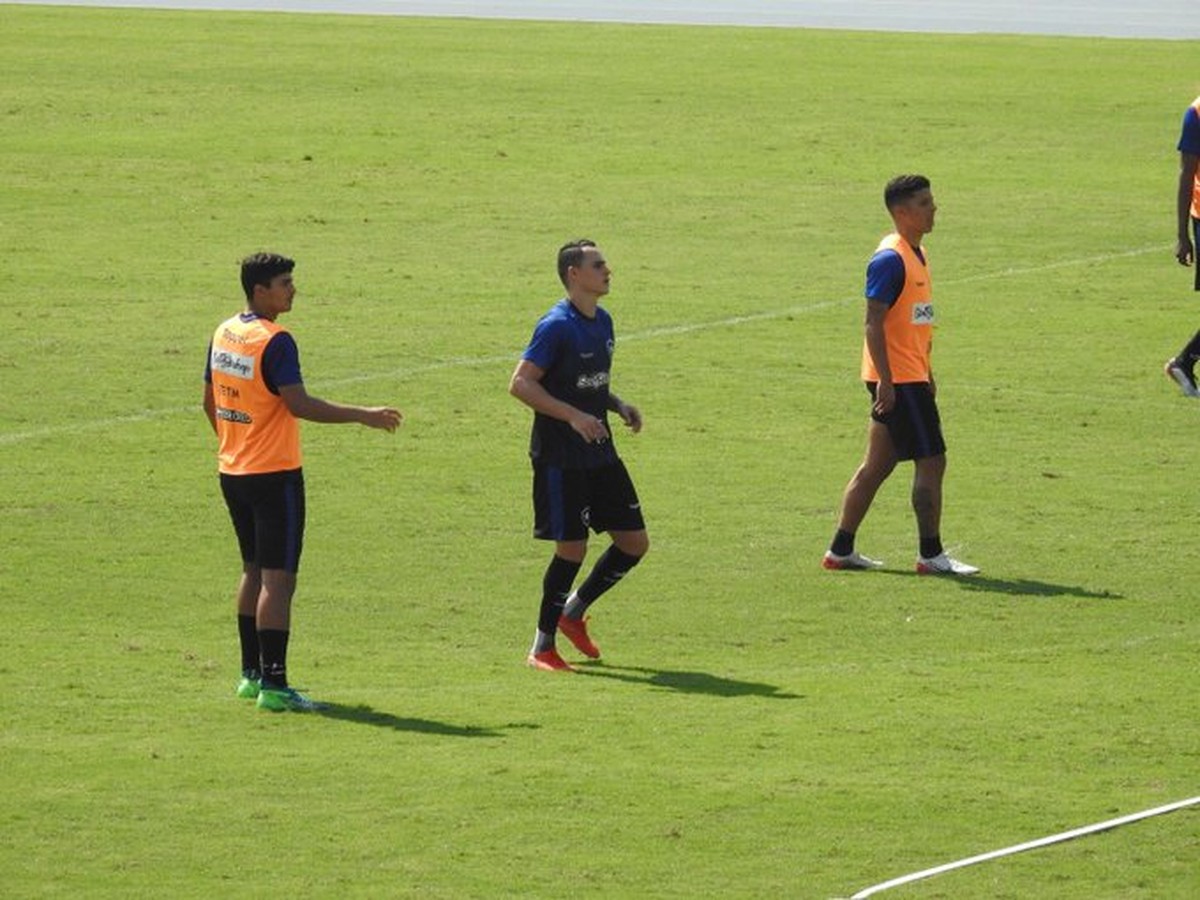 Sem Diego Souza, Barroca esboça Botafogo com Victor Rangel para ...